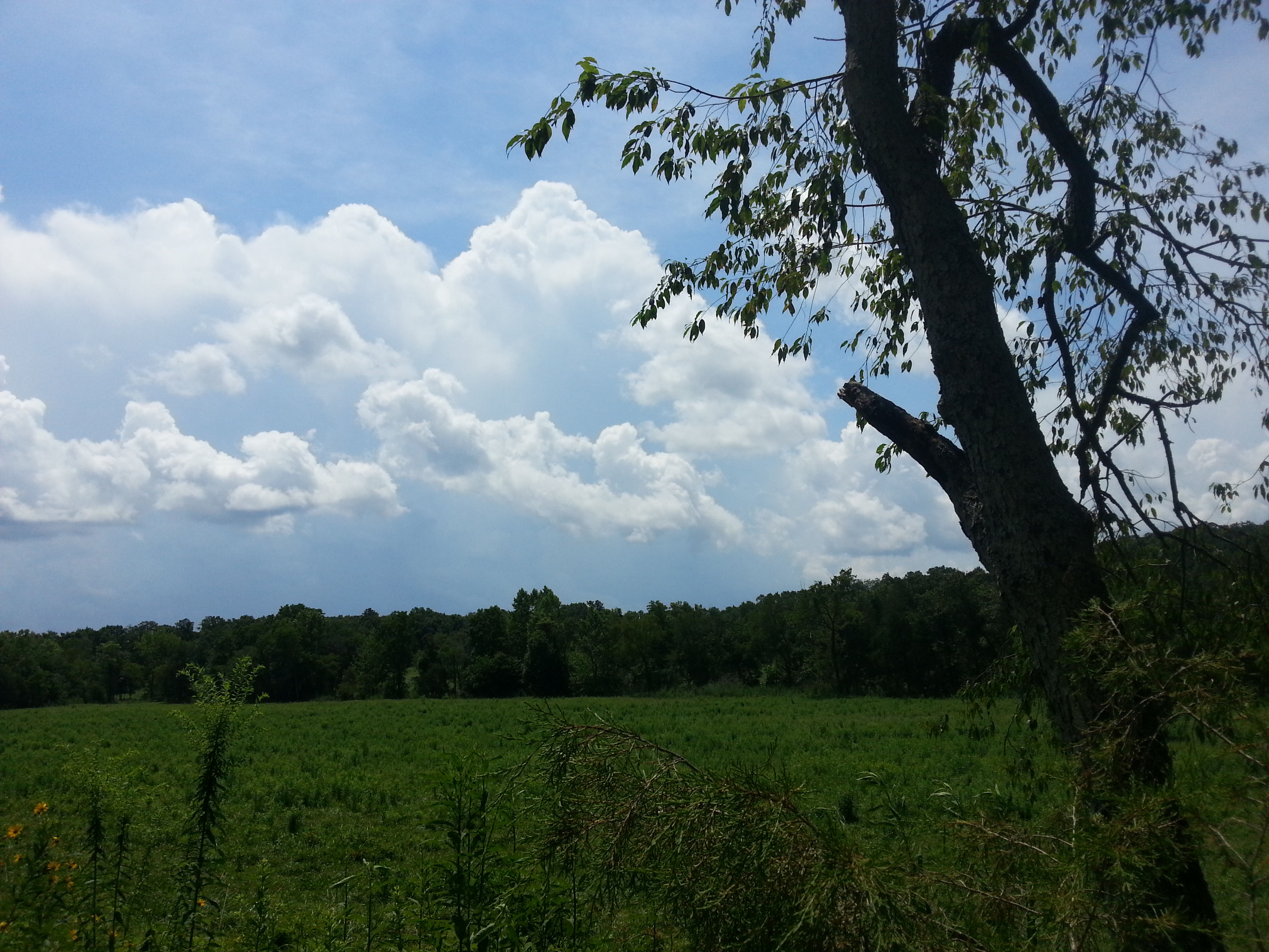 Burden or Blessing | God's Goggles